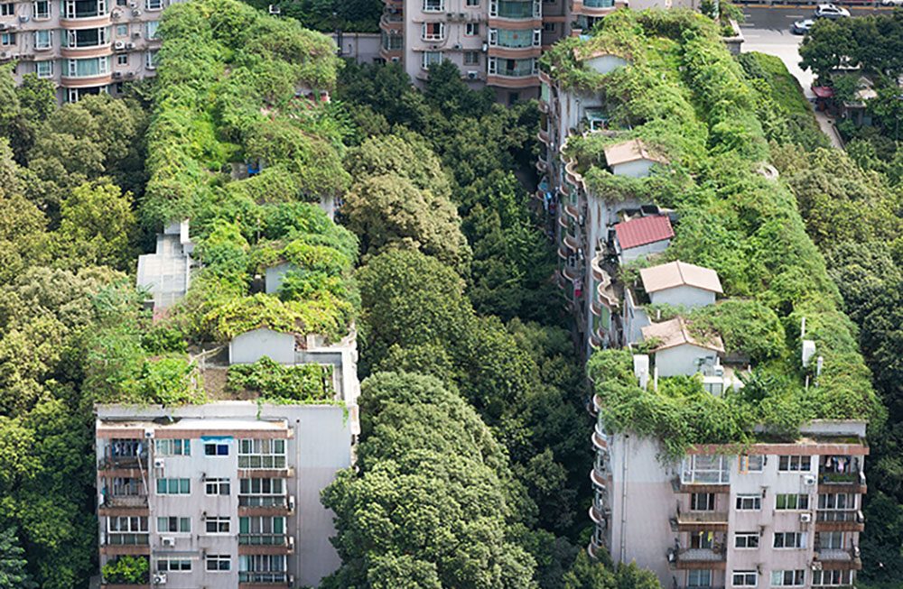 Transforming China’s Cities | Coalition for Urban Transitions